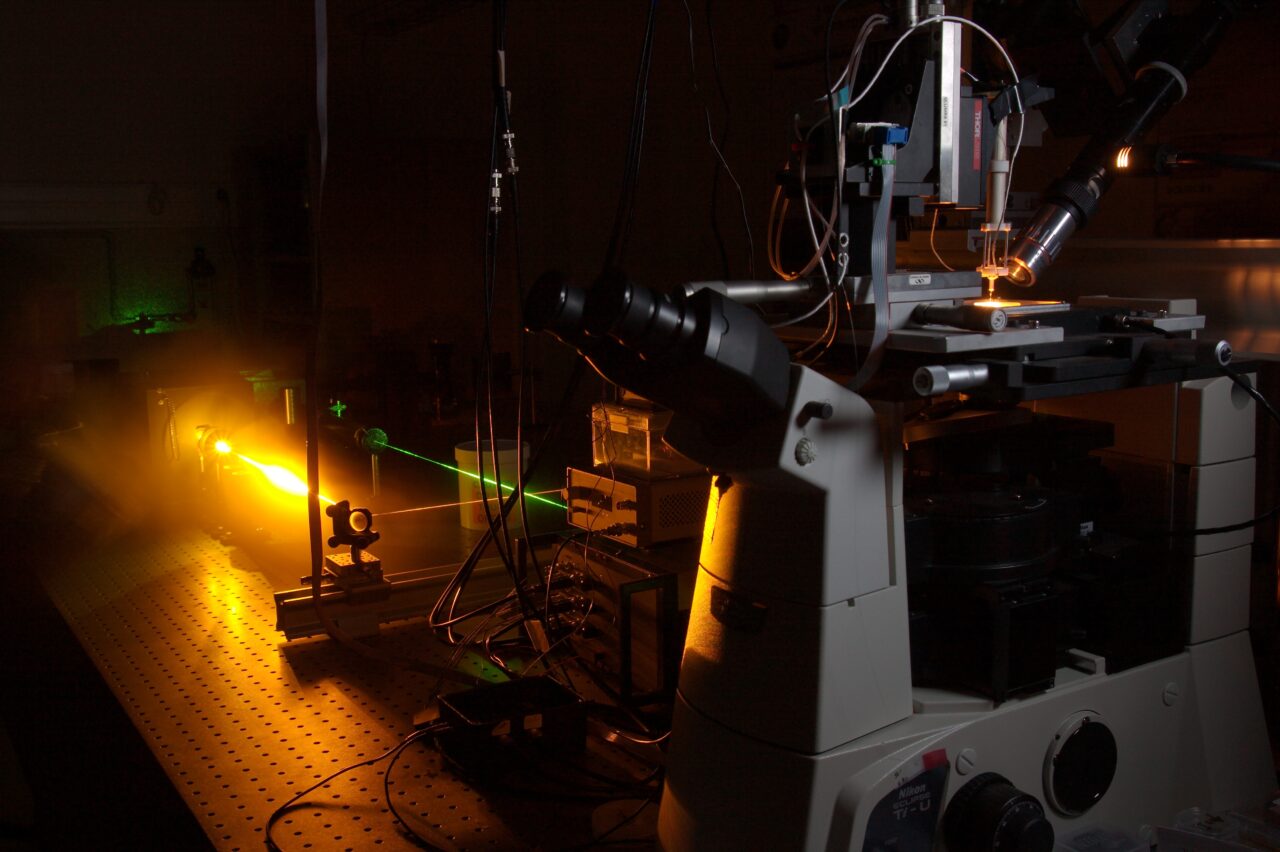 The platform - Smartlight